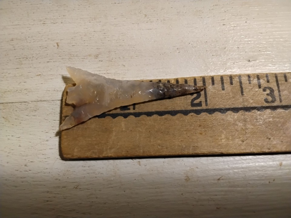 Native American Translucent Arrowhead Bird Point Oregon Washington ...