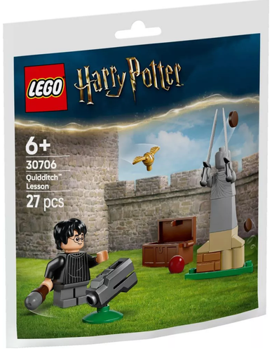 LEGO HARRY POTTER 30706 quidditch lesson NEUF | eBay