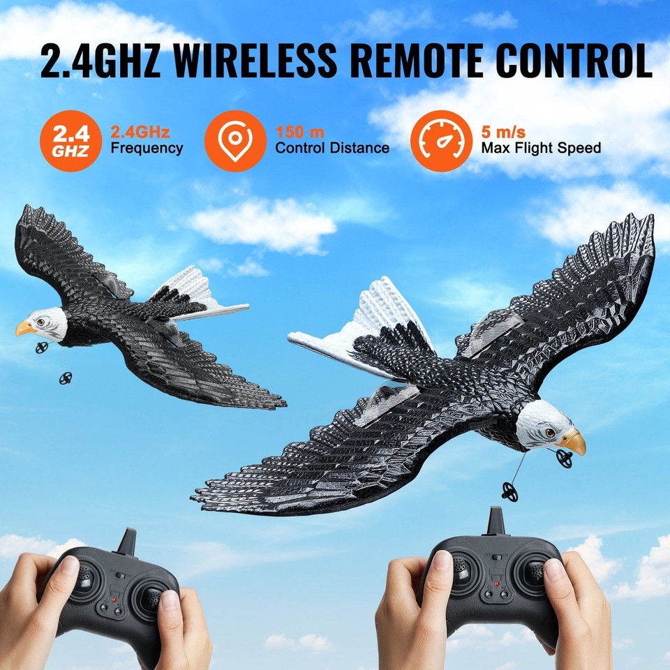 Realistic Eagle RC Plane EPP Foam 2.4GHz Remote Control 6-Axis Gyro | eBay