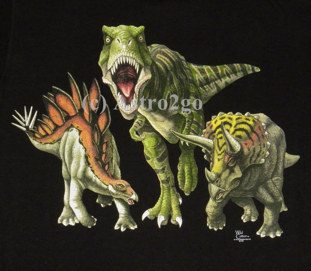 T Rex Versus Stegosaurus