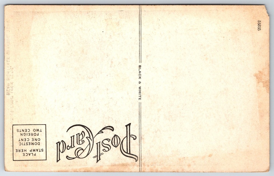 Montvale Springs~Great Smoky Mtns Park TN~Folks on Top of Look Rock ...