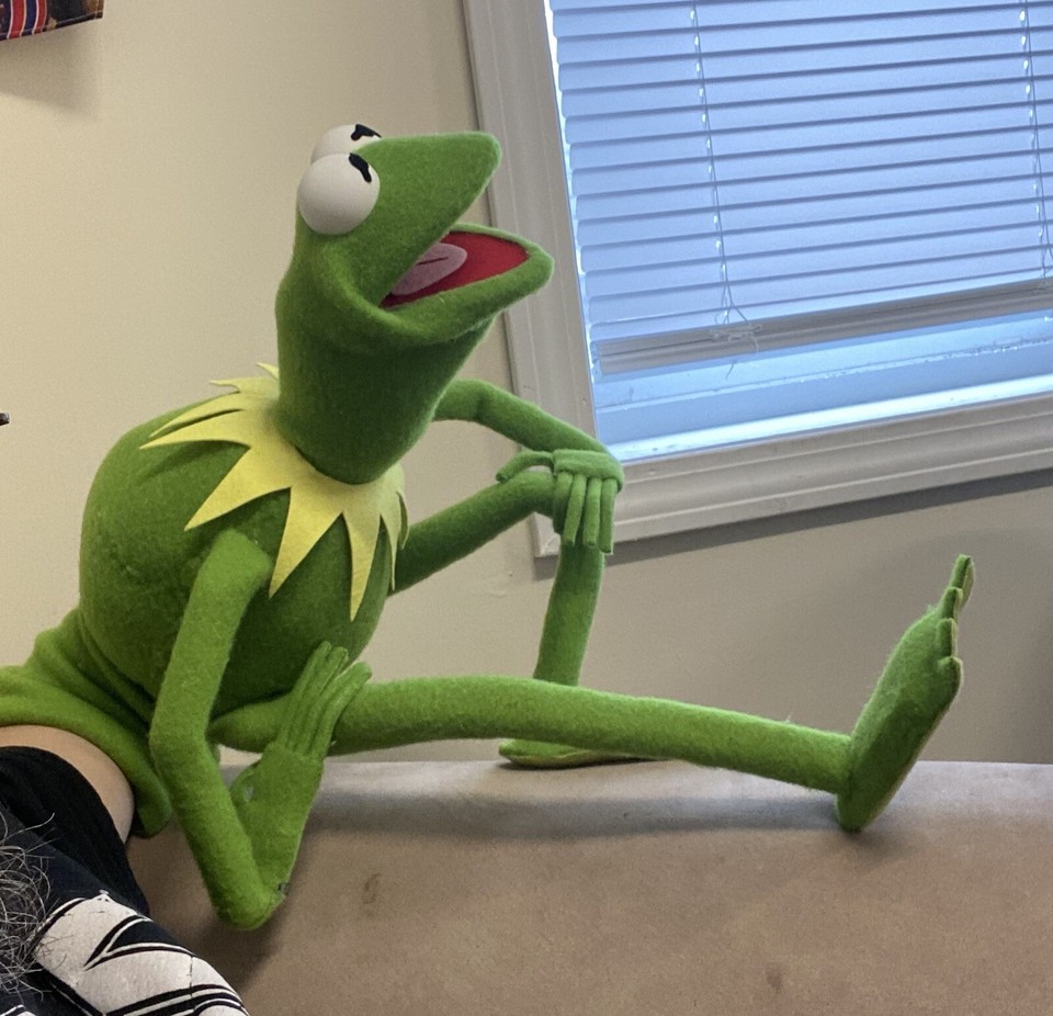 Custom Made Professional Full Body Frog Puppet!!! | eBay