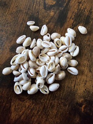 Original African Cowries 72 Pieces | eBay