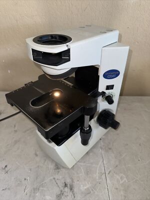 Lab Equipment - Binocular Microscope