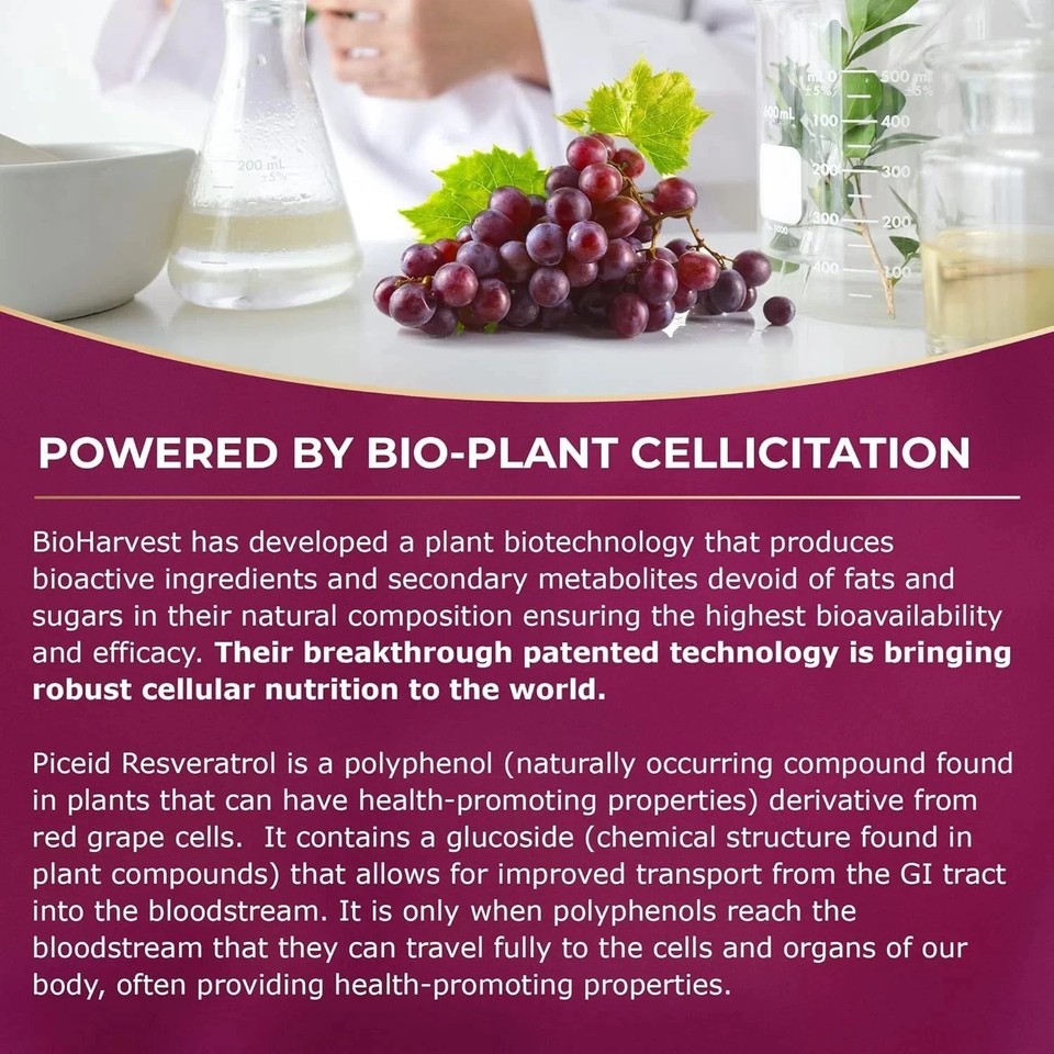 Vinia Red Grape Powder Rapid Absorbtion Piceid Resveratrol 60 Veggie ...