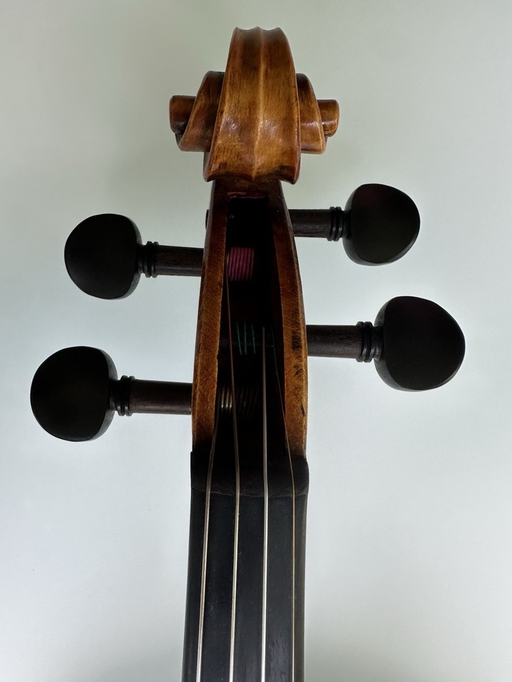 Potter Violins: 2018 4/4 Full Size Caprice Violin (with case and rest ...
