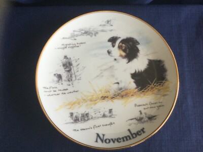 Danbury Mint The Border Collie Year "November " plate | eBay UK