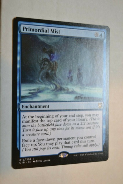 Magic the Gathering Primordial Mist | eBay