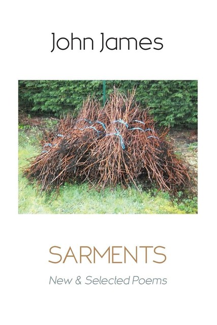 Sarments von John James (2018, Taschenbuch) online kaufen | eBay.de