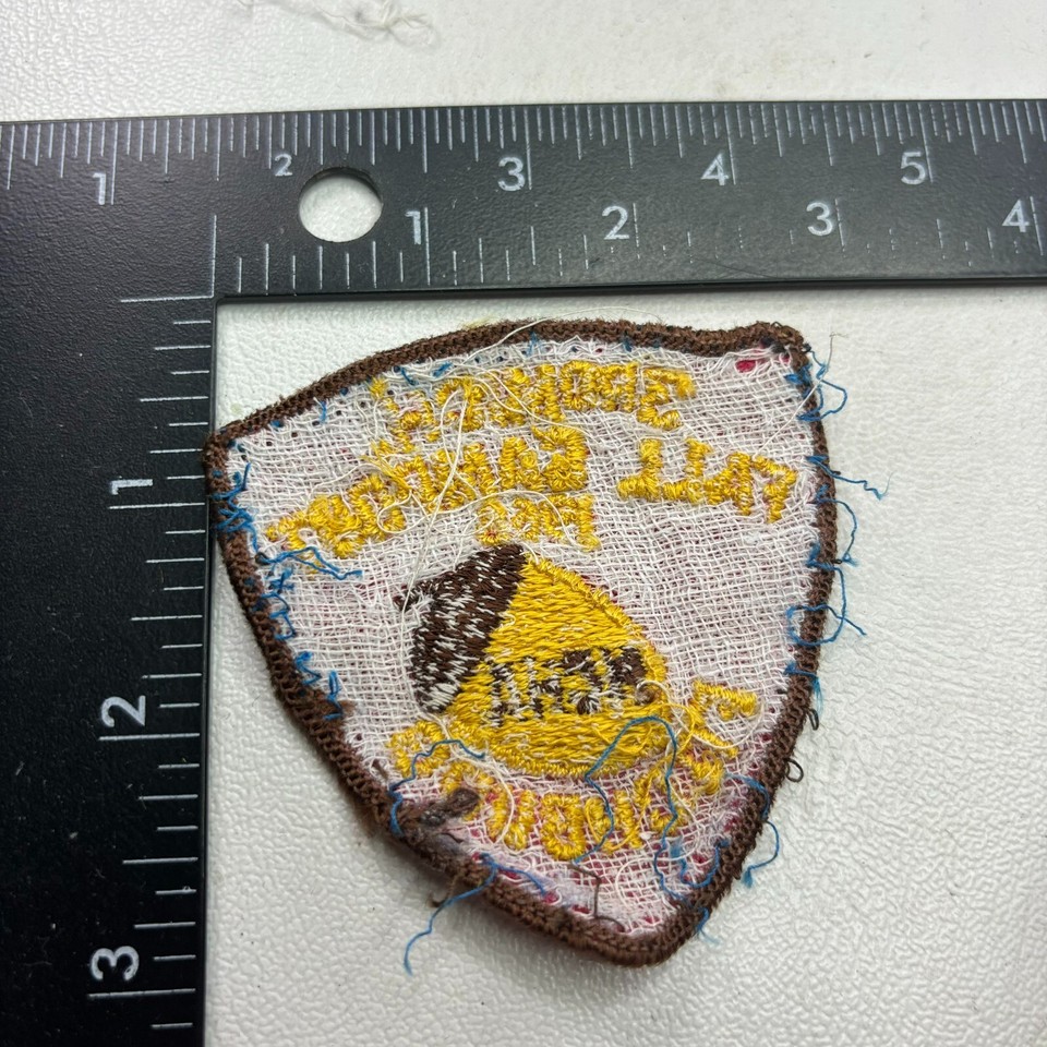 Vintage 1966 Acorn Fitchburg NCHA Camping Michigan Fall Campout Patch ...