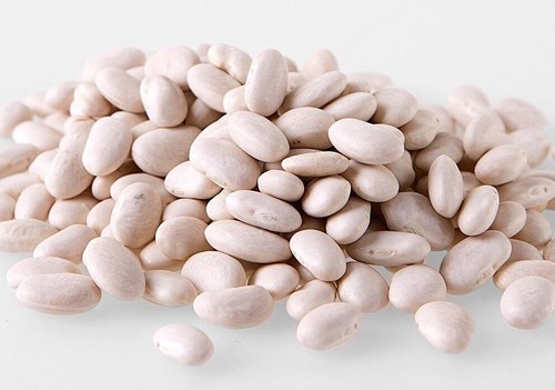 CANNELLINI BEANS / White Kidney Bean - 1kg 2kg 5kg 10kg 15kg 20kg 30kg ...