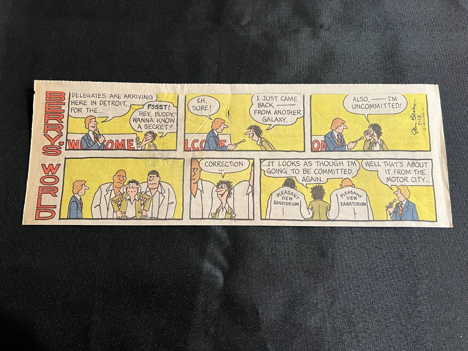 #Q06 BERRY'S WORLD by John Berry Sunday Quarter Page Strip July 13 ...