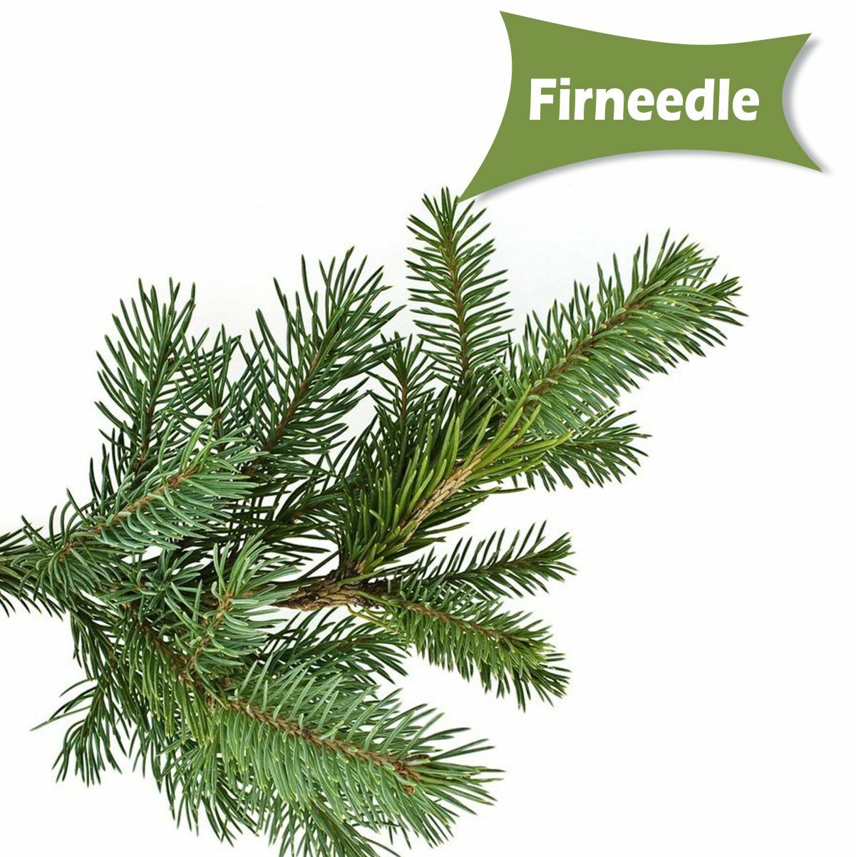 Salvia Fir Needle (Abies alba) 100% Pure & Natural Essential Oil -{10ml-5000ml} | eBay Australia