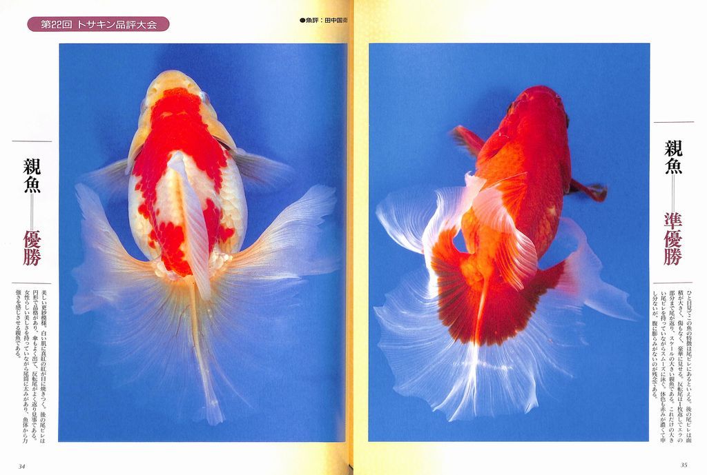 Edonishiki Nippon Kodo Wohnaccessoires Online Bestellen − Jetzt: Ab