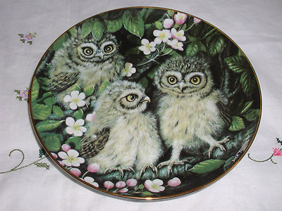 LITTLE OWLS PLATE BABY OWLS COLLECTION COA | eBay