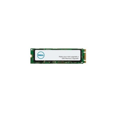 3915140 DELL SSDR 256 S3 80S3 INTL PRO5400 | eBay