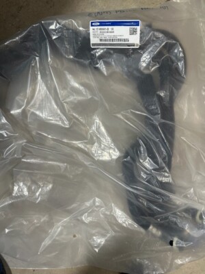 FORD OEM Radiator-Overflow Hose NL1Z.8B081.B | eBay