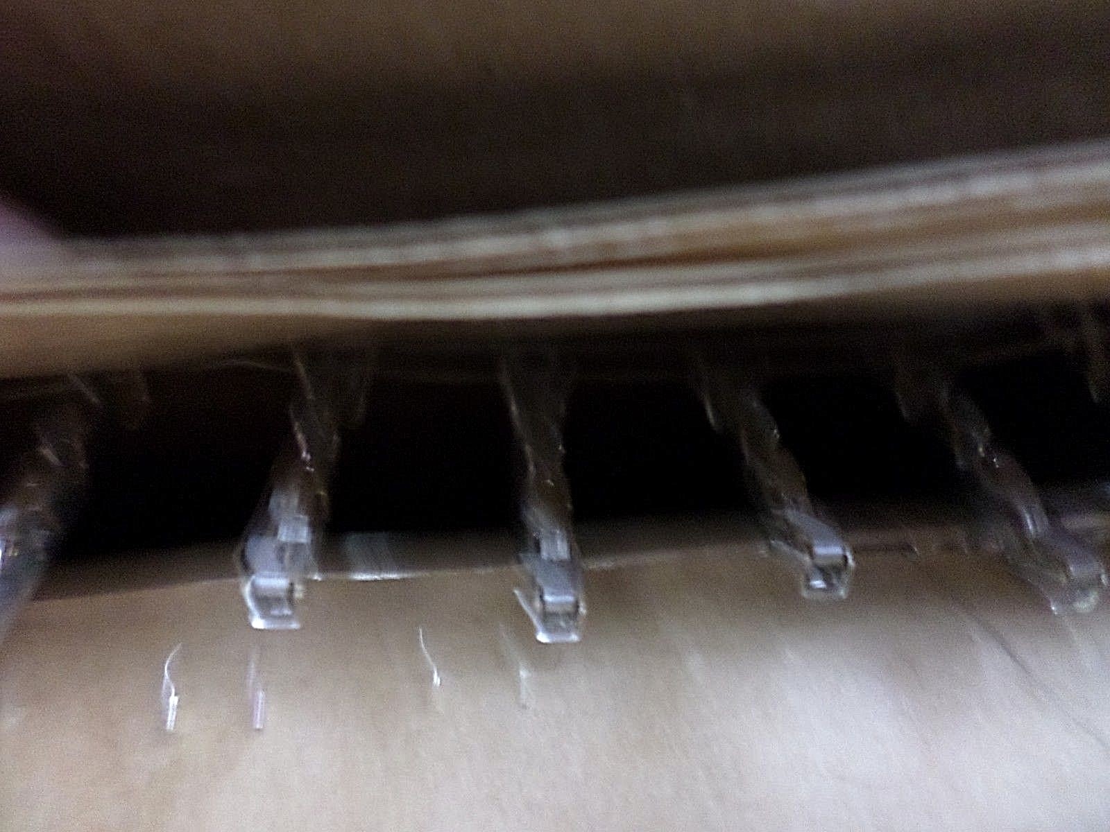 Delphi 12191818 Female Automotive Wire Connectors 15A Tinned Brass ...