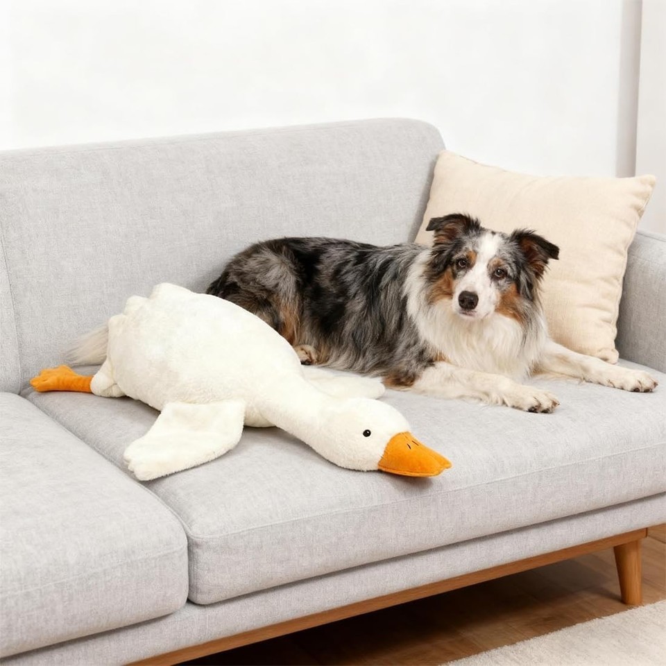 White Duck Dog Toy,Dogs Ducks Sleep Pillow Toy for Indoor Dog Chew and ...