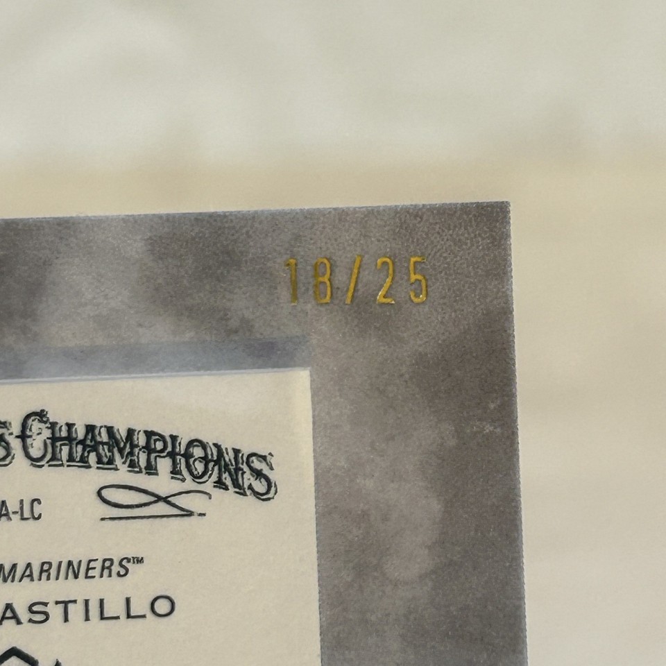 2024 Topps Allen & Ginter X Luis Castillo Silver Ink Framed Auto /25 # ...