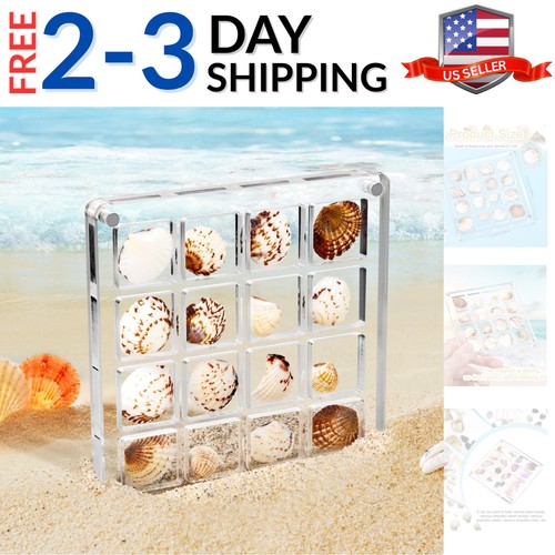 Acrylic Magnetic Seashell Display Box, Clear Sea Shell Display Cases ...
