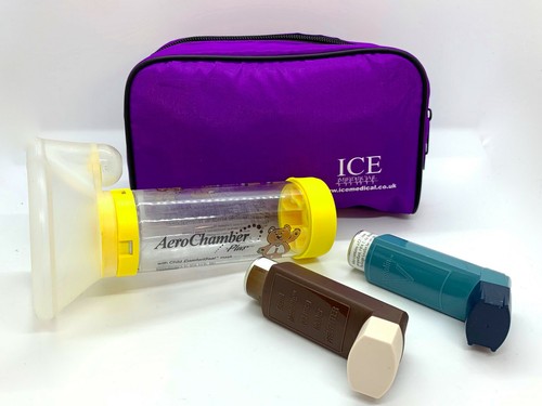 ICE Medical Purple Inhaler Medication Bag - Epipen, Spacer, Travel or ...