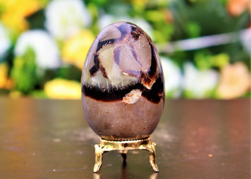 70MM Yellow Septarian Egg Septaria Septeyre Chakra Crystal Healing ...