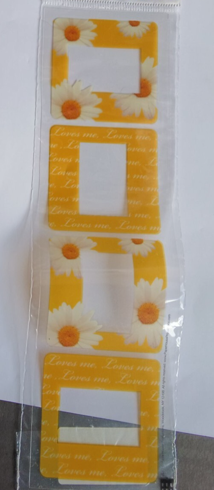 paperhouse overlays transparent daisy quan4size 2x2 | eBay