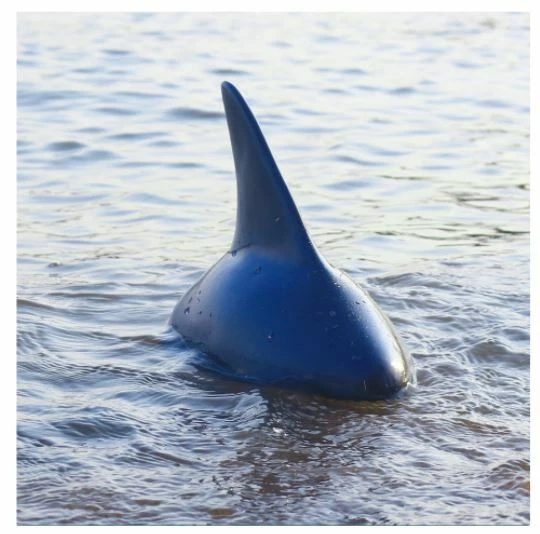 Motorized Shark Fin