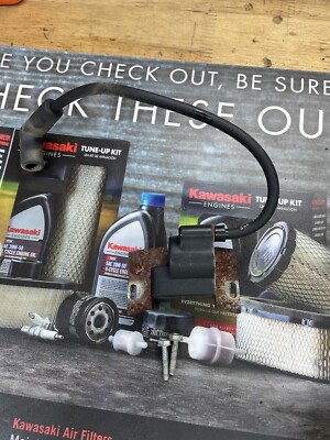 Briggs & Stratton Coil Armature 592846 SET OF TWO | eBay