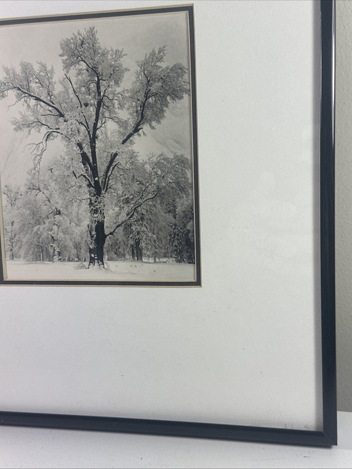 Ansel Adams OAK TREE SNOWSTORM 1948 YOSEMITE Black & White Framed ...