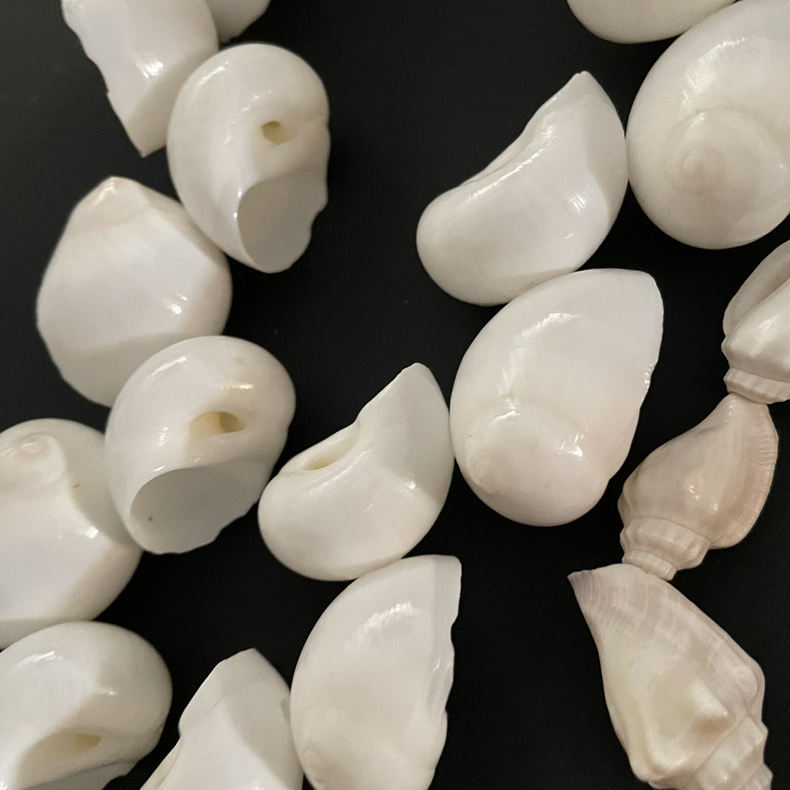 Handmade White Seashell Hawaiian Lei, Shell Necklaces & Florida Jewelry ...