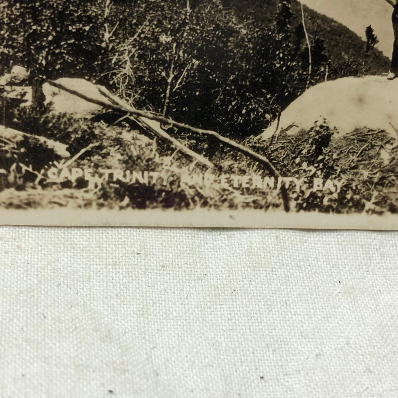 Vintage Real Photo Postcard Cape Trinity & Eternity Bay | eBay