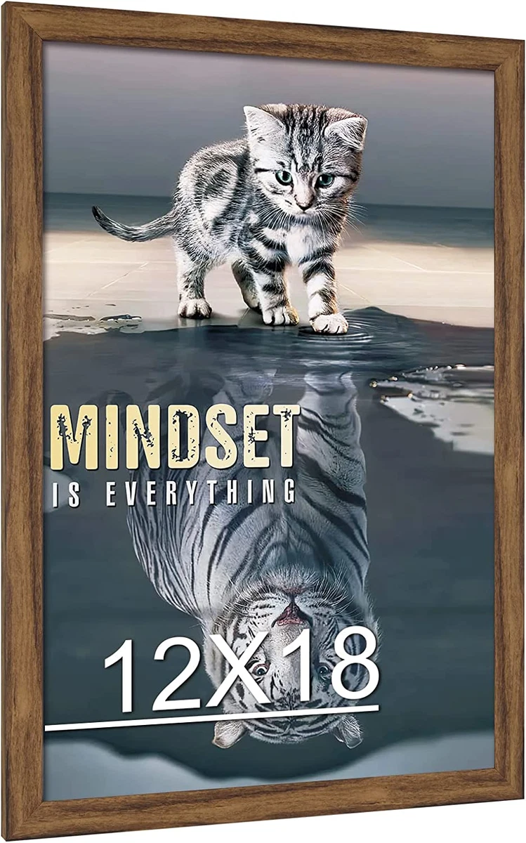 12 By 18 Poster Frame