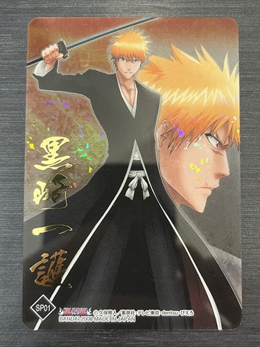 SP01 Ichigo Kurosaki BLEACH Clear Card Collection Signed Bandai | eBay