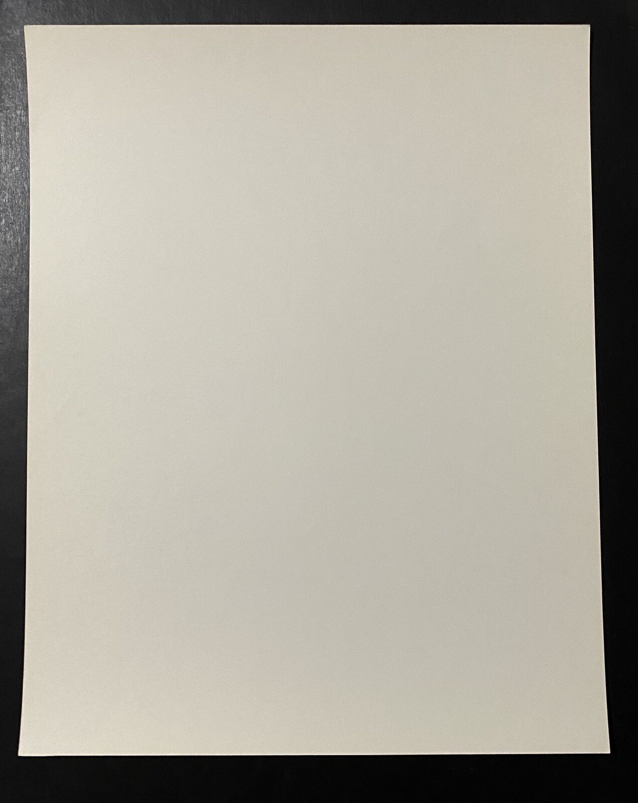 1953 Marilyn Monroe Original Photograph Bob Beerman Glamour Pinup ...