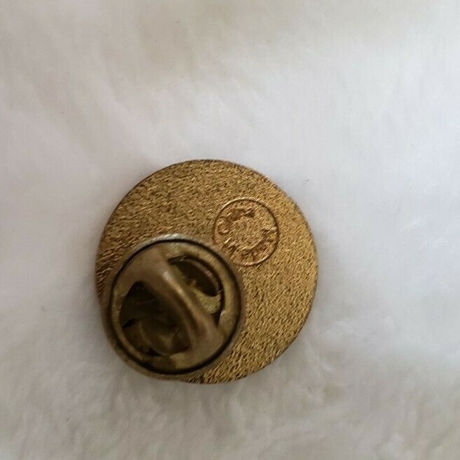 VTG Virginia Institute of Forensic Science and Medicine Lapel Pin ...