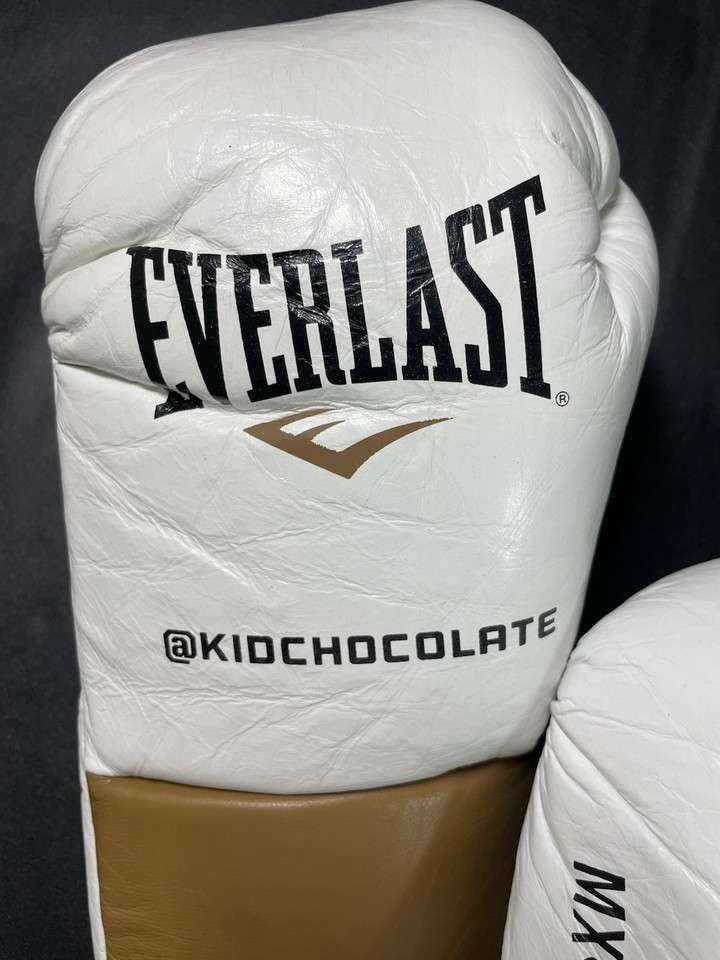 custom everlast MX2 Pro fight boxing glove 10oz | eBay