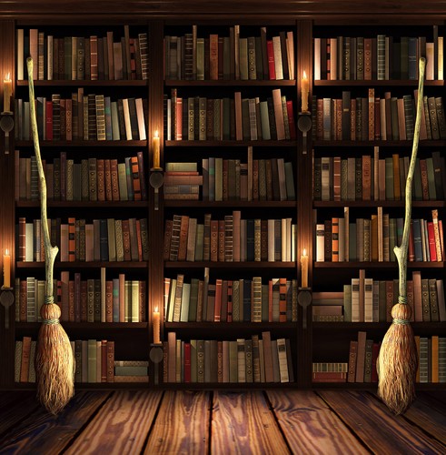 10X10FT Library Retro Bookshelf Halloween Witch Vinyl Backdrop Photo ...