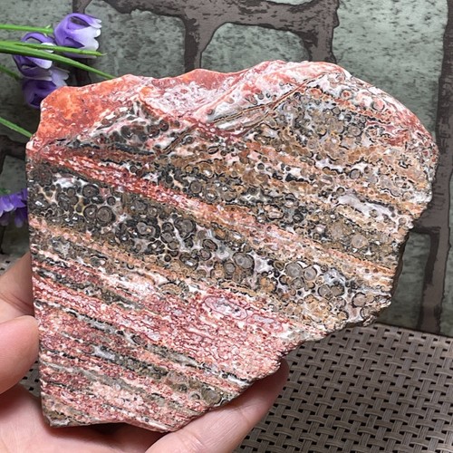 362g Natural Leopard Skin Jasper rough slabs stone rock specimrn ...