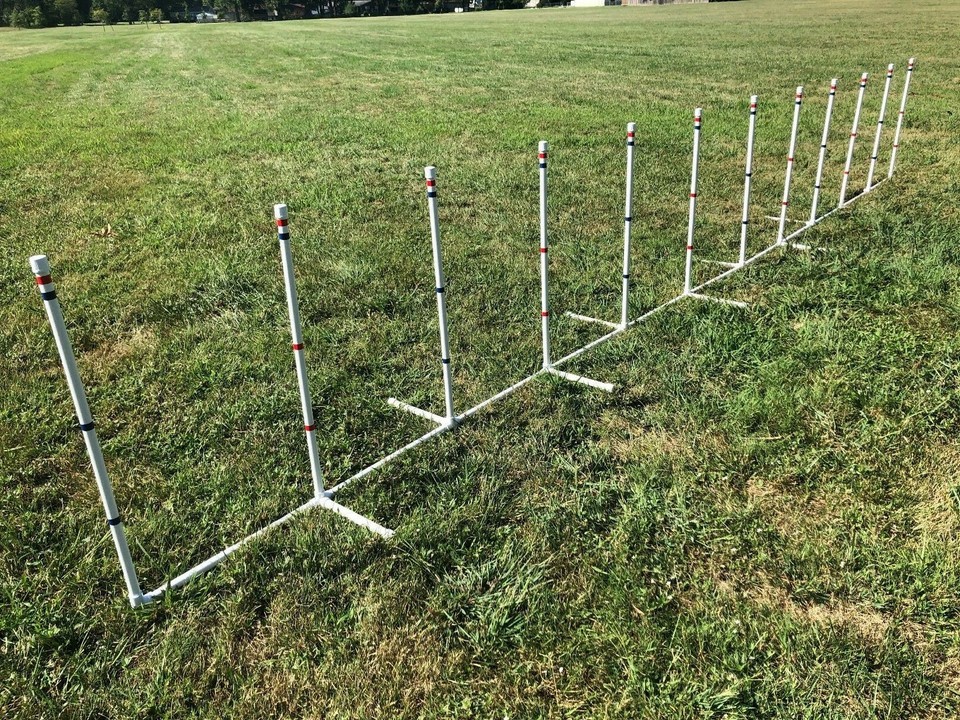 Dog Agility Equipment 12 Weave Poles on a PVC Base FREE US shipping | eBay