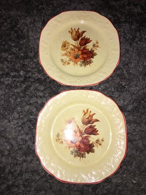 Crooksville China Co #339 Bread Plates. Fall Floral Pattern. Set Of 2 ...