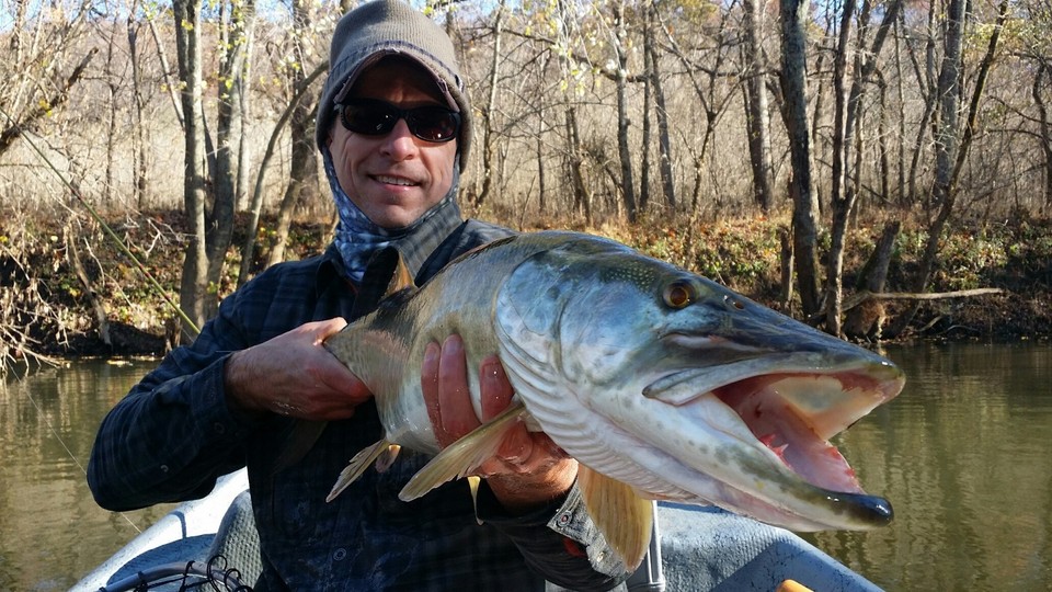 MUSKY FLIES single-hook 5/0 muskies muskie PROVEN fly fishing rods ...