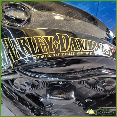 V-rod Harley Davidson Night Rod AIR BOX FUEL TANK MUSCLE Premium Decals ...