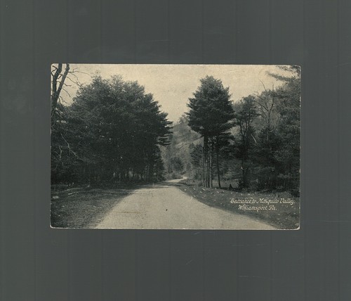 Postcard Mosquito Valley Williamsport Pennsylvania The Rotograph New ...