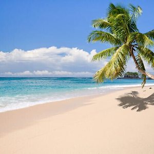 Upstate Clean Air | eBay Stores