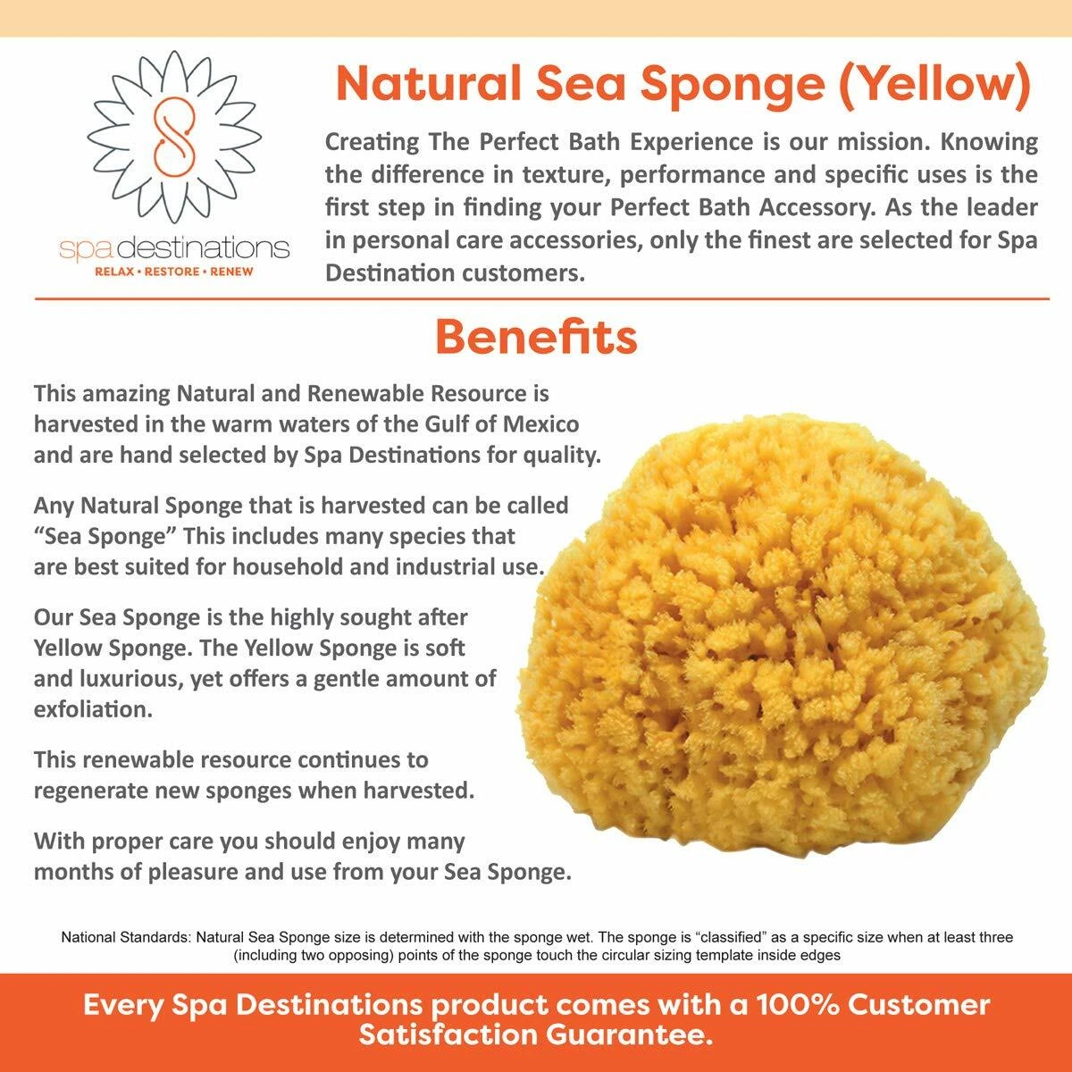 Yellow Sea Sponge