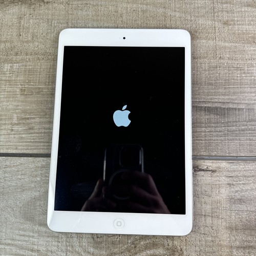 Apple iPad mini 1st Generation A1432 16GB, Wi-Fi, 7.9 in White & Silver ...