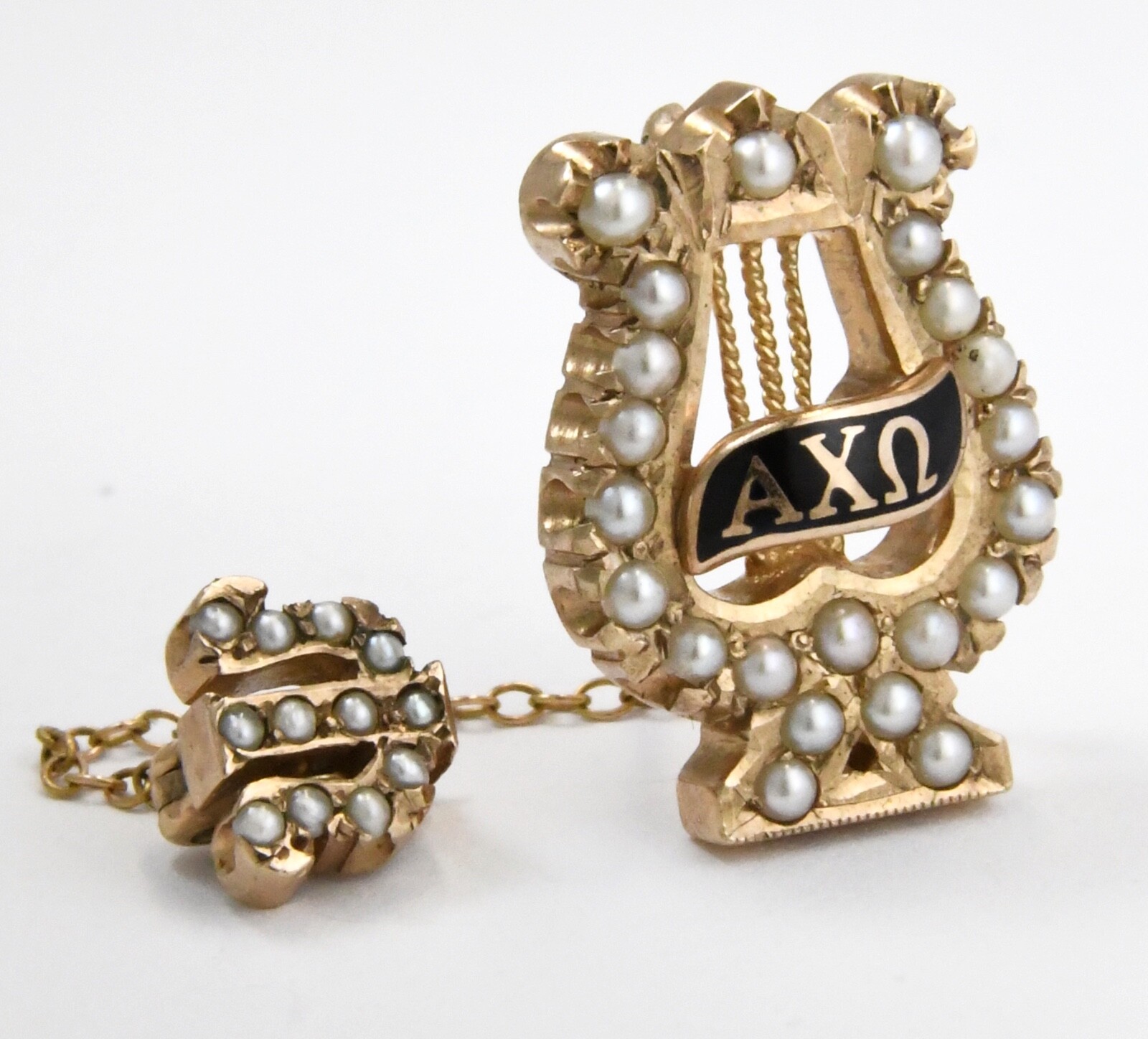 Axo Lyre Bird