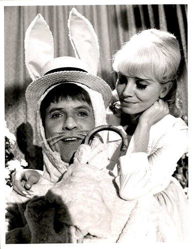 BR45 1968 Rare Original Photo WILL HUTCHINS PATRICIA HARTY Blondie ...